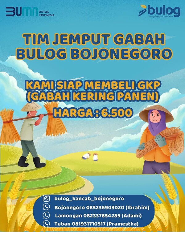 HPP 6.500 Per Kg, Perum Bulog Bojonegoro Jemput Bola Beli Gabah Langsung dari Petani ...