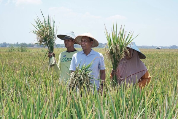Stabilkan Harga Hasil Panen, Pemkab Bojonegoro Jembatani Petani dan ...
